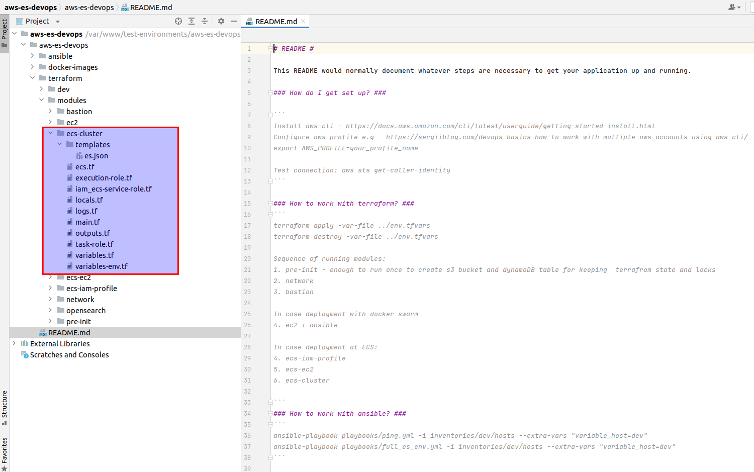 AWS ECS cluster terrafrom module for deploying Elasticsearch.